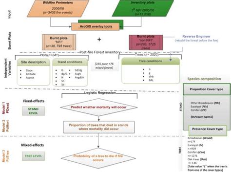 Methodology Applied To Modeling Post Fire For A Wide Range Of Stand Download Scientific Diagram