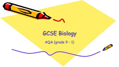 Dichotomous Key Presentation Suitable For Igcse Biology Level Ppt Gardening Home And Garden