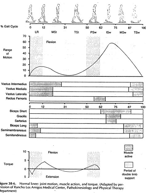Klinik Fisioterapi Satria Observational Gait Analysis