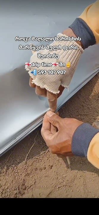 მარწყვის მულჩ ფირი Youtube