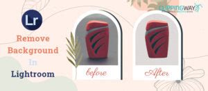 How To Remove Background In Lightroom Updated Method