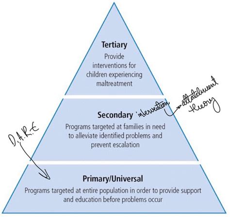 Theories Of Development Part 3 Flashcards Quizlet