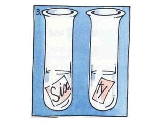 Separation Techniques 1 Ppt