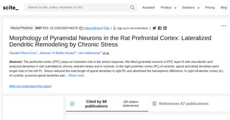 Citation Report Morphology Of Pyramidal Neurons In The Rat Prefrontal Cortex Lateralized