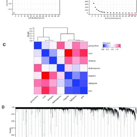 wgcna a β 26 0 86 b β 26 1 78 c the hierarchical