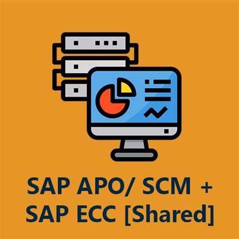 SAP APO SCM ECC Remote Server Access In Ahmedabad ID