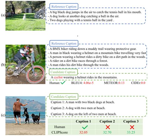 논문 리뷰 Evaluating Image Caption Via Cycle Consistent Text To Image Generation
