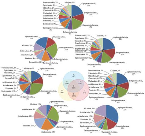 High Density Microarray Analysis Of Microbial Community Structures In
