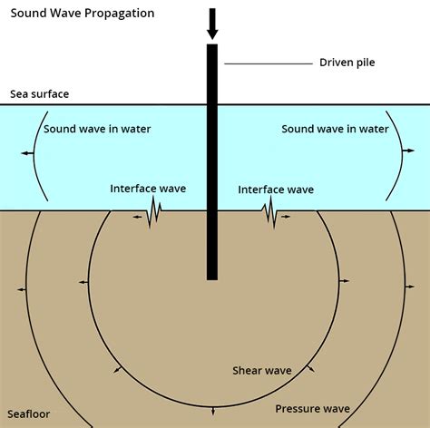 How Does Sound Propagate Through Sediment Discovery Of Sound In The Sea