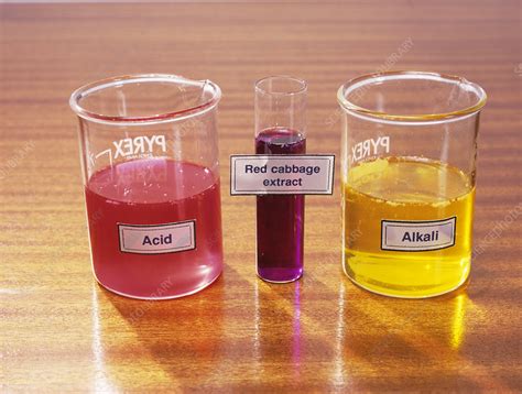 Red Cabbage Indicator