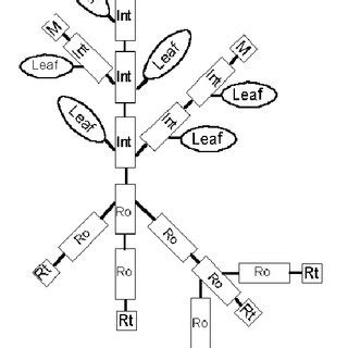 Modules In The Black Alder Alnus Glutinosa Almis Model Each Module