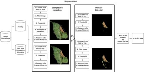 Figure From Plant Leaf Disease Detection And Classification Using Image Processing Techniques