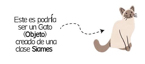 Programación Orientada A Objetos C L Clases Gatitos Incluidos Dev Community