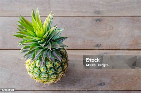 파인애플 컬러풀한 컬렉션으로 바닥의 화려하 지 않은 컬렉션 0명에 대한 스톡 사진 및 기타 이미지 0명 녹색 달콤한 음식 Istock