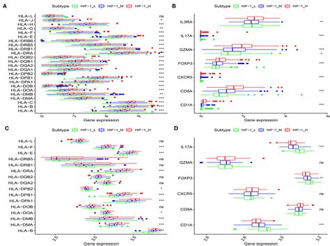 Comparison Of The Expression Of Hla Genes A C Tcga And Taylor And Download Scientific