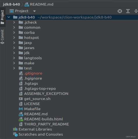 Hotspotclion调试 openjdk CSDN博客