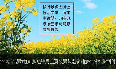 DIV CSS特效资源 JS DIV CSS特效 DIV CSS学习教程与资源分享平台