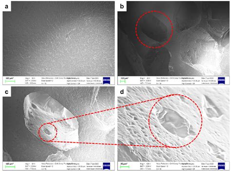 Figure 3 From Classification Of Breathing Signals According To Human Motions By Combining 1d