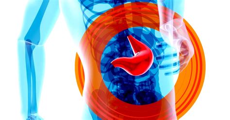 Food Digestion And Absorption Bio Chemhub