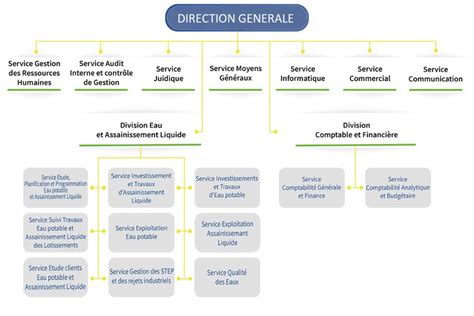 organigramme srm cs ex radeec