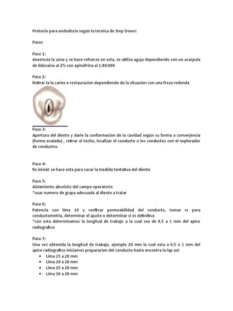 Protoclo Para Endodoncia Según La Tecnica De Step Down Pdf