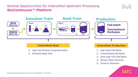 Media And Process Development For Seed Train Intensification Ppt