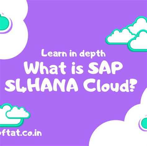Exploring The Types Of Sap Implementations Softat