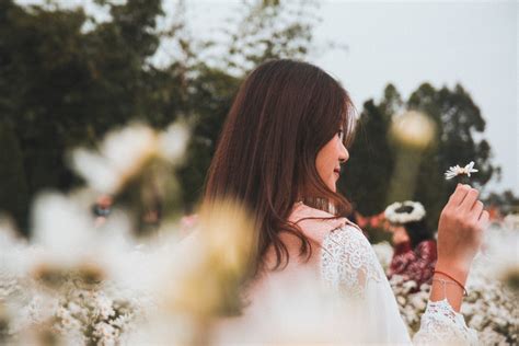 무료 이미지 아름다움 스냅 사진 담홍색 사진술 봄 웨딩 드레스 의식 플로랄 디자인 백라이팅 여름 나무