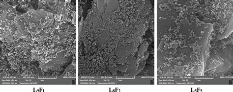Effect Of Sio2 On The Performance Of Cellulose Poly Vinylidene Fluoride Films As Polymer