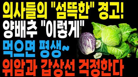 아프기 싫다면 양배추와 같이먹은 이것 때문에 당신의 위장과 갑상선이 위험하다 나만 빼고 다 본 인기 동영상 중장년