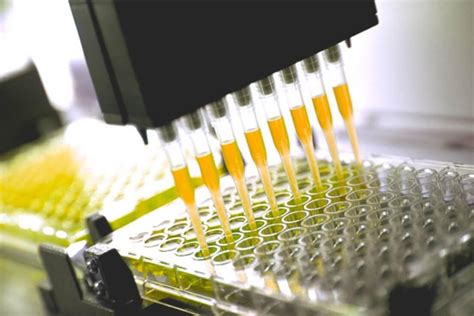 Luminex Xmap® Assay Automation Optimize Lab Workflows Diasorin