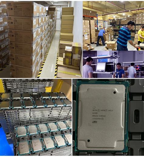 Intel Xeon Scalable Processor Computadoras Cpus 6234 6330 6334 6338