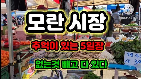성남모란시장추억의재래시장없는것빼고다있다👉2탄다육과난꽃예정 Youtube