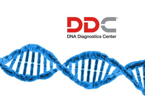 Non Invasive Prenatal Paternity Testing Elite Kliinik