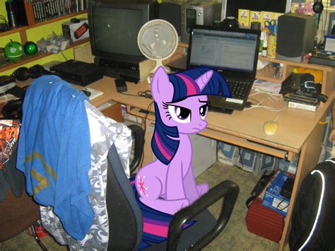 Twilight Doesnt Want To Be Disturbed By Stardustcz On Deviantart
