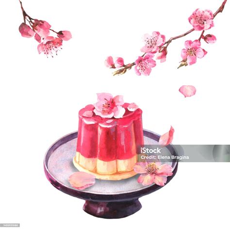 수채화 일본 과자 세라믹 접시에 젤리에 식용 꽃 사쿠라와 사쿠라 가지 와가시는 흰색 배경에 격리됩니다 음식 메뉴 디자인 꽃무늬에 대한 스톡 벡터 아트 및 기타 이미지