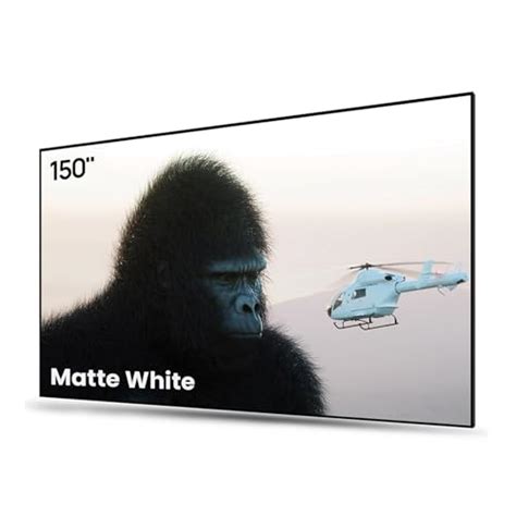 150 Zoll Leinwand – Die 16 besten Produkte im Vergleich - The Digital ...