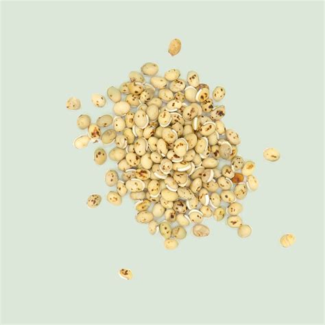 Dolichoris Semen Lablab Bai Bian Dou Helmbohnensamen Green Harris