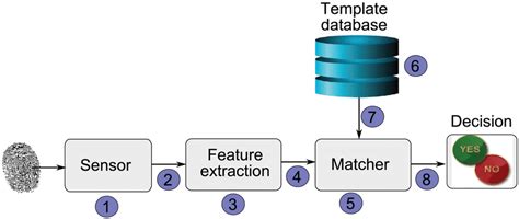 Attacks In Biometric Authentication System Download Scientific Diagram