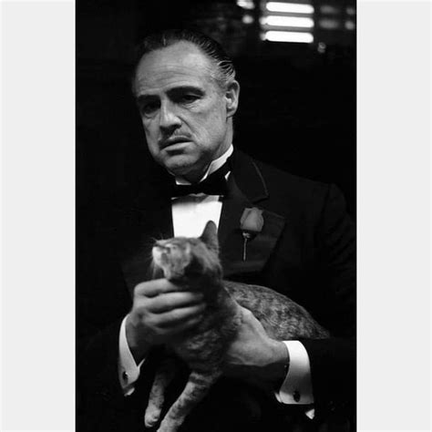 علي حسن‬s Profile • Letterboxd