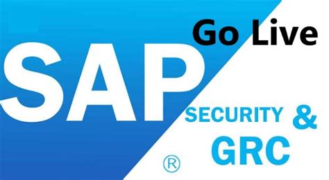 Go Live Sap Security And Grc Access Control Fugentex Solution