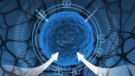 Synthetic Biology Circuits Perform Logic Functions And Remember The Results