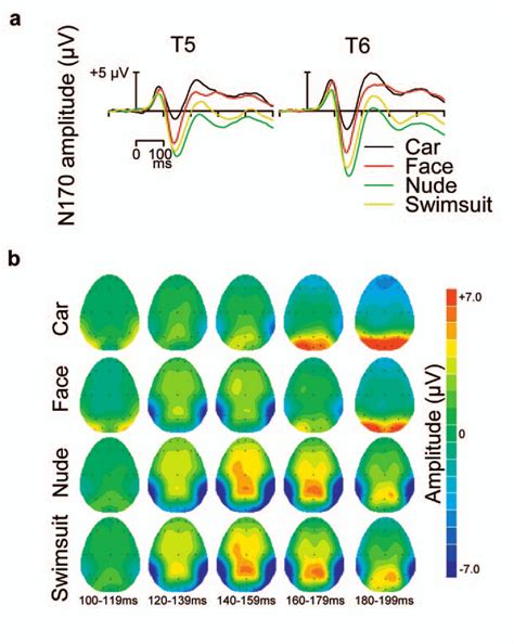 Brain Responses To Different Stimuli In Experiment 1 A Erps From Download Scientific Diagram