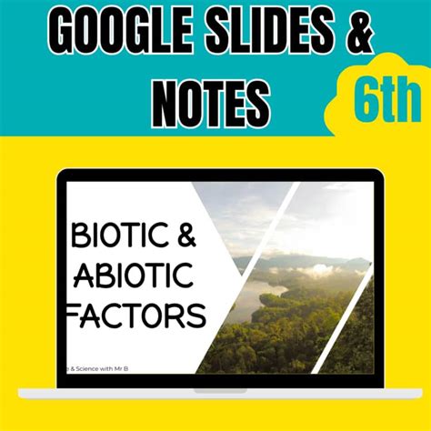 Ecosystems And Biotic And Abiotic Factors Slides And Notes Worksheet 6th