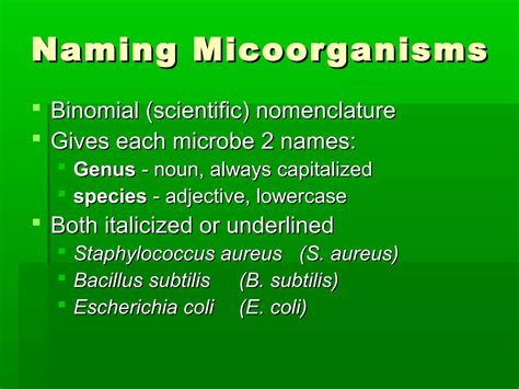 3 Classification Of Microorganisms Ppt 3 Classification Of Microorganisms Ppt