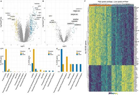A Molecular Map Of Long Non Coding RNA Expression Isoform Switching And Alternative Splicing In