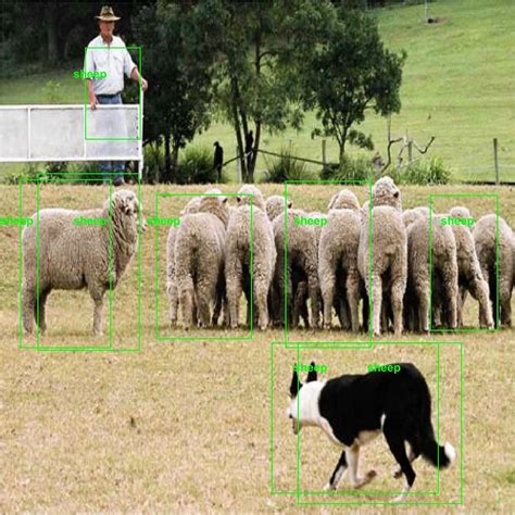 yolo is sheep obsessed environmental context in unified object