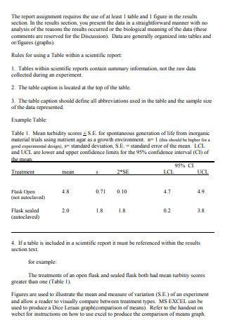 SAMPLE Lab Reports In PDF MS Word Excel
