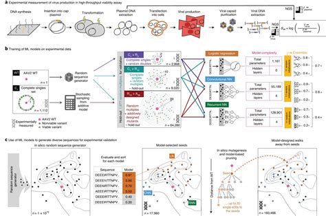 generation of diverse sequence variants guided by ml