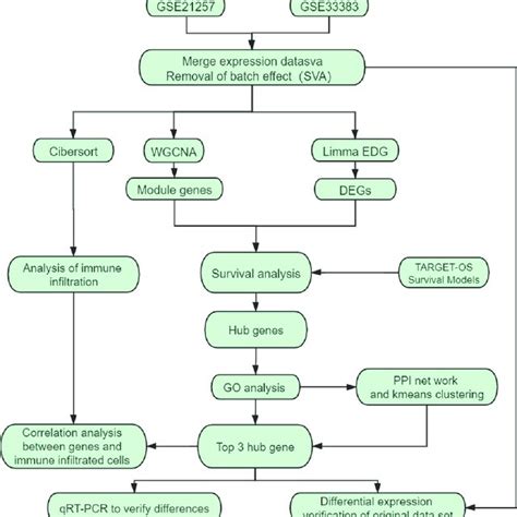 schematic diagram of the methods download scientific diagram